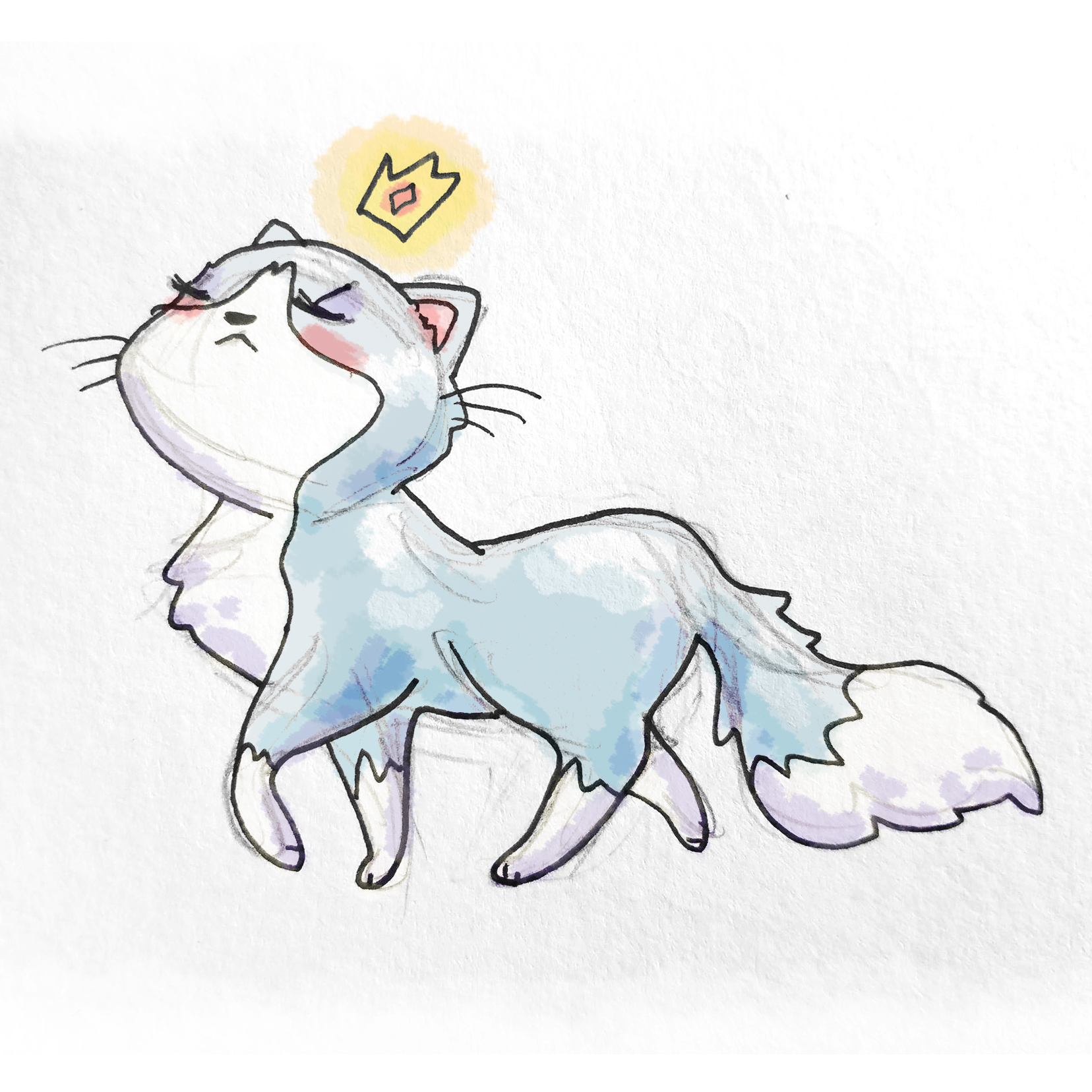 Snobby Kitty | Spaghetti Confetti